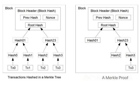 What Is Merkle Tree And Merkle Root In Blockchain Phemex Academy