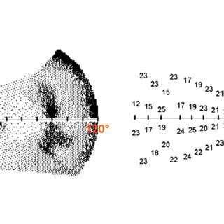 Temporal Border Of The Visual Field With A Displacement Of The Fixation Download Scientific