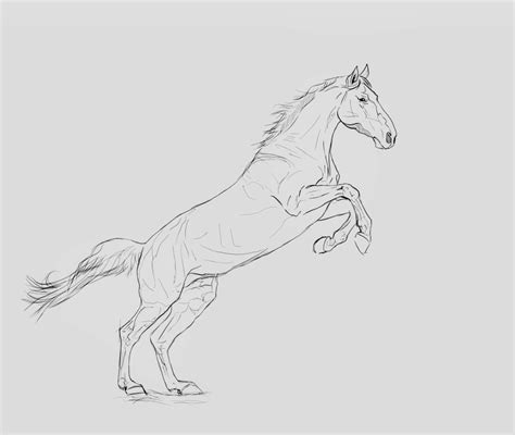 Лошадь рисунок 56 фото