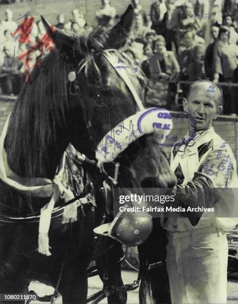 40 Photos Et Images Haute Résolution De Harold Park Paceway Getty Images