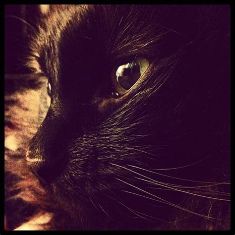 Untitled Candy2 Flickr