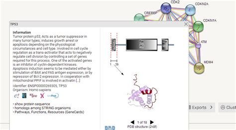 String 蛋白质相互作用数据库 生信人