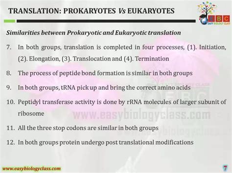 Difference Between Prokaryotic And Eukaryotic Translation Pptx