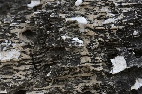 Limestone Background Images Free Photos Png Stickers Wallpapers And Backgrounds Rawpixel