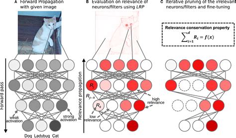 Frontiers Convolutional Neural Network In Rice Disease Recognition Accuracy Speed And