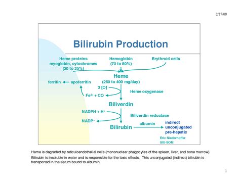 An Introduction To Bilirubin Production Processing Lecture Slides An Introduction To Bilirubin Production Processing Lecture Slides
