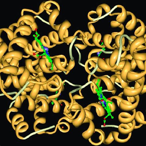 Depiction Of The Crystal Structure Of Human Deoxyhemoglobin At 174 Å