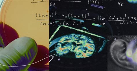 Laszlo Gonc Cissp Qte On Linkedin Cyborg Computer Combining Ai And Human Brain Cells Really Works