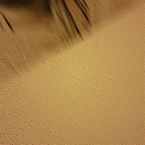 diggaj realty on linkedin nationalyouthday youthempowerment