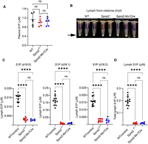 Spns2 Is A Major Transporter For Lymph But Not Plasma S1p A Plasma