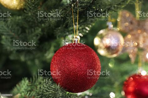 붉은 값싼 물건으로 아름답게 장식 된 크리스마스 트리 근접 촬영 0명에 대한 스톡 사진 및 기타 이미지 0명 12월 가문비나무 Istock