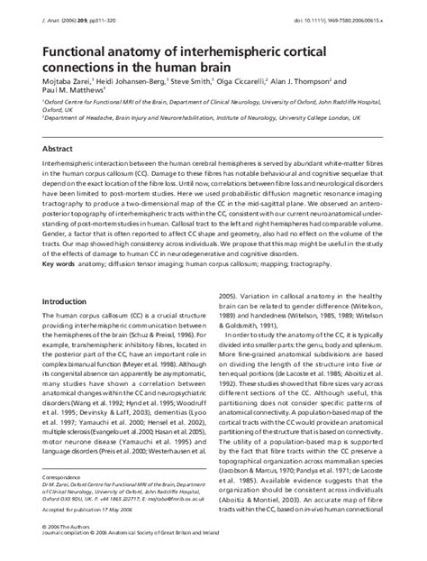 Pdf Functional Anatomy Of Interhemispheric Cortical Connections In