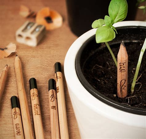 Карандаши "Sprout", из которых можно вырастить растение