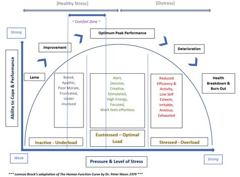 The Human Function Curve Understanding How To De Stress And Live Better