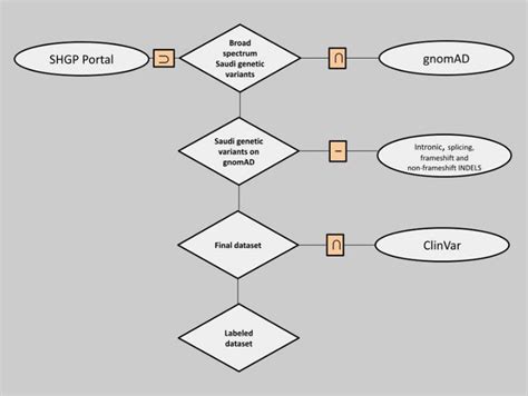 Dataset Acquisition And Pre Model Training Preparation Download Scientific Diagram