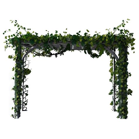Download Romantic Vine Canopy Png Wallpapers Com