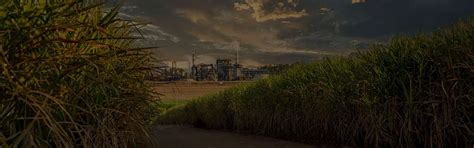 simulation based railway design tool for sugar cane logistics