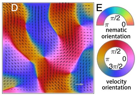 Matplotlib Plotting A Heatmap With A Circular Colormap Stack Overflow