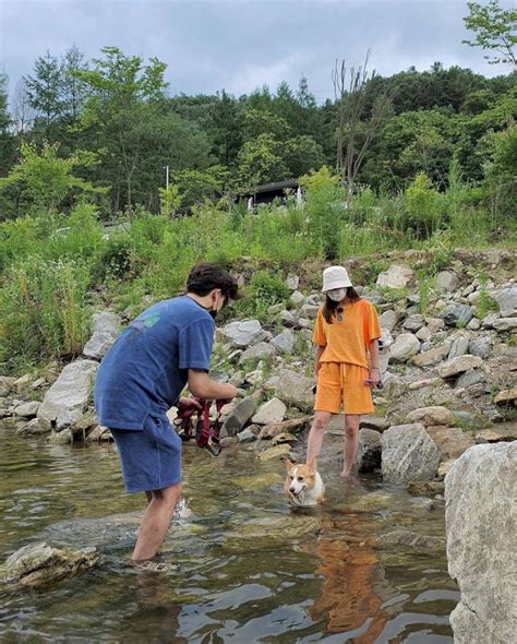 반려생활 숲속에서 힐링하는 애견동반 캠핑장 Best 3