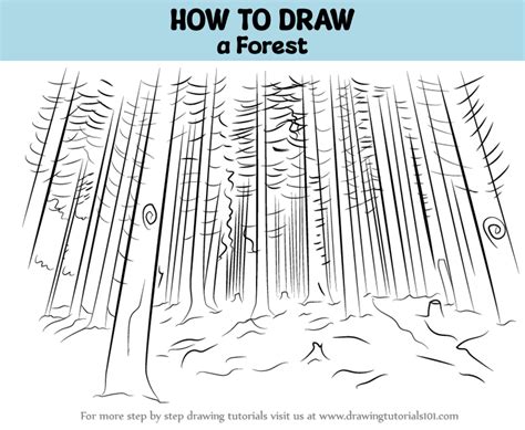 How To Draw A Forest Nature Step By Step DrawingTutorials Com