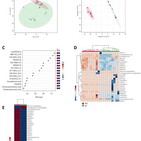 Multivariate Statistics Using A Whole Metabolome Show A Specific Download Scientific Diagram