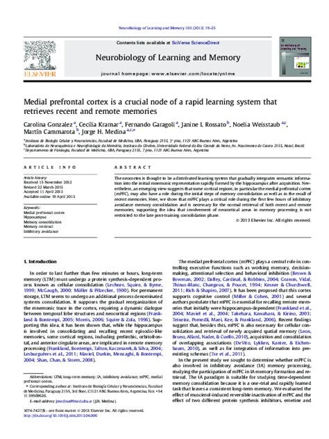Pdf Medial Prefrontal Cortex Is A Crucial Node Of A Rapid Learning System That Retrieves