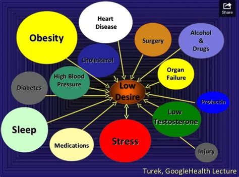 Factors Involved In Sex Drive And Erection Quality Beyond Testosterone