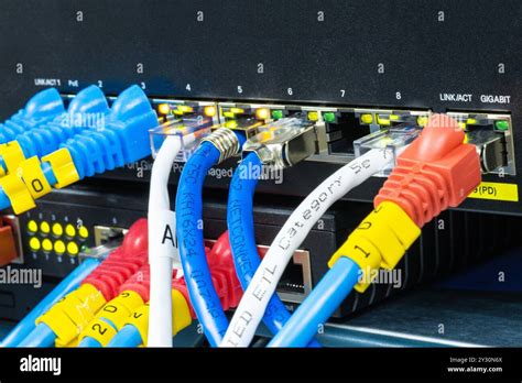 Network Hub With Lan Cable Connected To Patch Cables Connected To Internet Data Center Stock