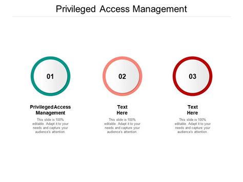 Privileged Access Management Ppt Powerpoint Presentation Styles