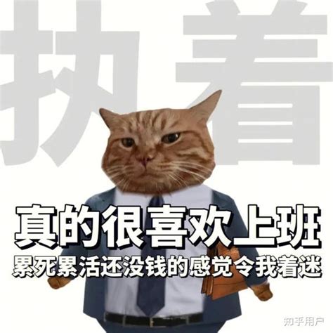 String类型你了解多少?【用法总结大全】 知乎 String类型你了解多少?【用法总结大全】 知乎