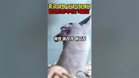 해외반응 중국 대학 구내식당에서 나온 이것의 정체는 Youtube