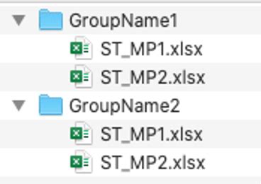 Structural Multiplex Data Format BRAPH
