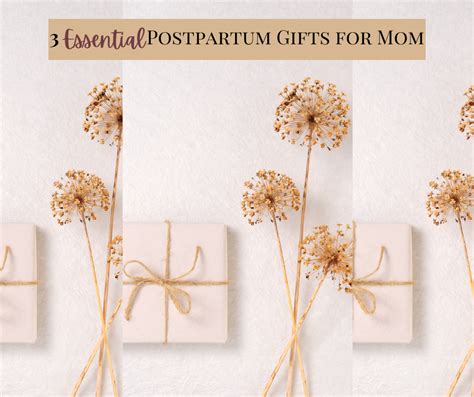 3 Essential Postpartum Ts For Mom Ag Coaching Llc