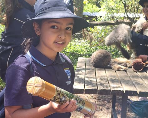 Mernda Hills Christian College Excellence In… Mernda Hills