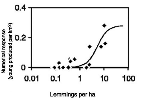 Predator Prey Relationship Dynamics