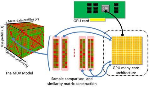 The Gpu Based High Performance Computation Strategy In The Mdv Model Download Scientific Diagram