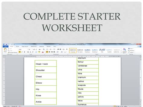 Aqa Gcse Pe Bones Structure And Function Of The Skeleton Teaching Resources