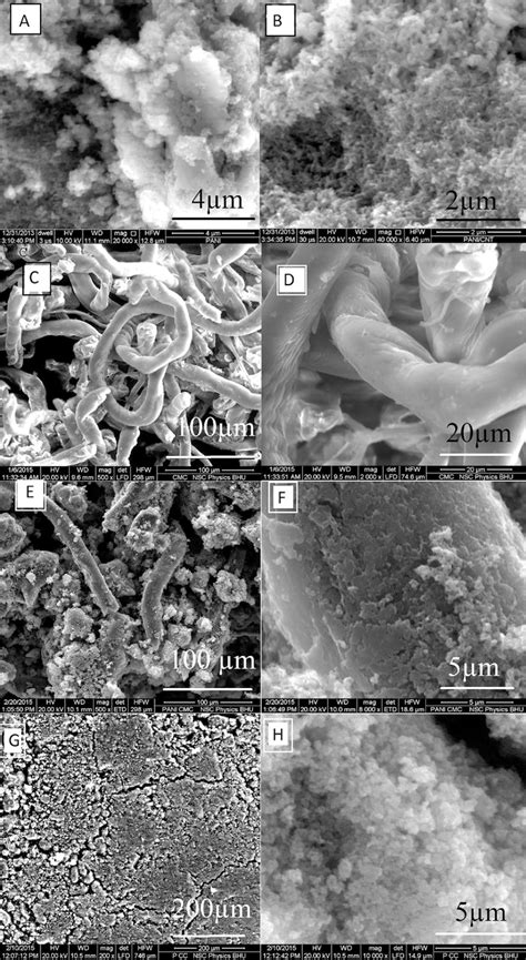 Sem Micrographs At Different Magnifications A Pani B Pani Mwcnts C