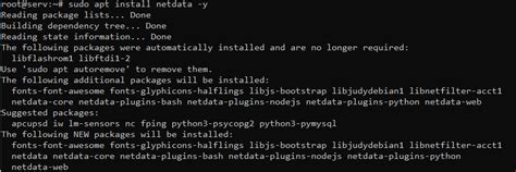 Cara Install Netdata Tool Untuk Memantau Performa Server Pada Server