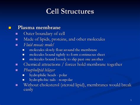 Anatomy & Physiology of Cells - ppt download