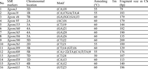 Ssr Markers Chromosomal Location Motive Annealing Temperature ºc