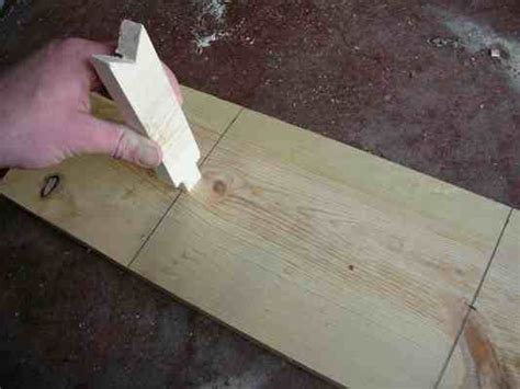 Live Trap Plans Build Your Own Box Trap Rabbit Traps Coyote Trapping Traps