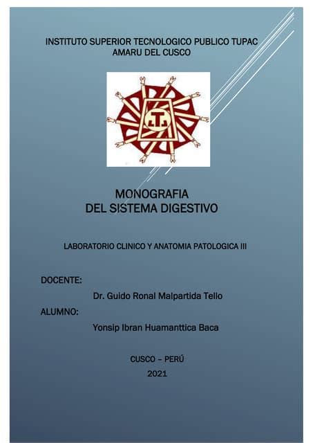 Monografia De Sistema Digestivo Pdf