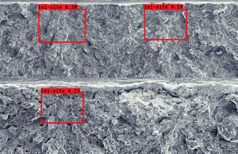 Multi Site Detection Result Using Model T4 Download Scientific Diagram