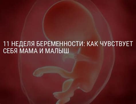 11 неделя беременности что происходит развитие плода ощущения мамы