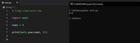 Python Ve Matematik Cyberworm