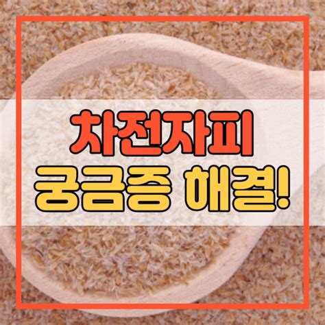 차전자피 효능 부작용 먹는법 식이섬유 가루 임산부 다이어트 네이버 블로그