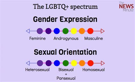 Scottie S Playtime Come See What I Share