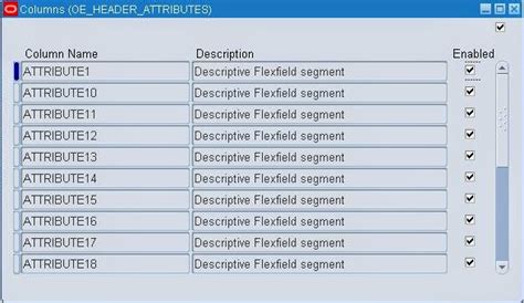 Learning Soa Descriptive Flexfields In Oracle Apps