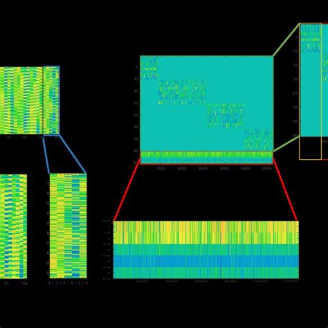 Visualization Of Learned Shared And Grade Specific Dictionaries
